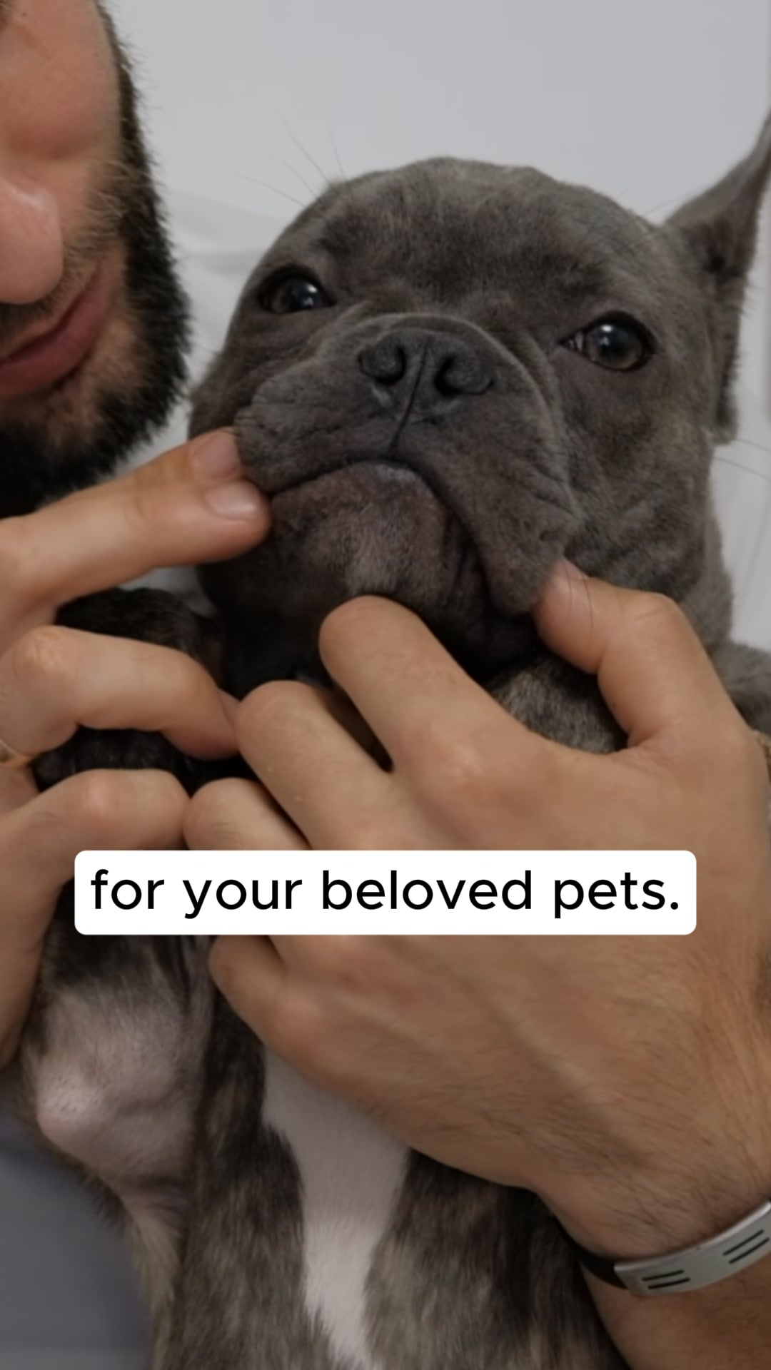 Bug MD | View on MagicBrief